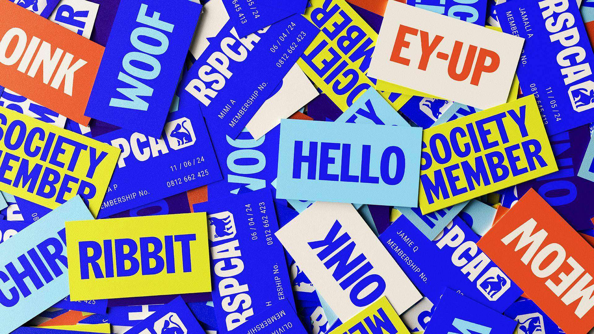 Branding - Still RSPCA: a rebrand for the ages